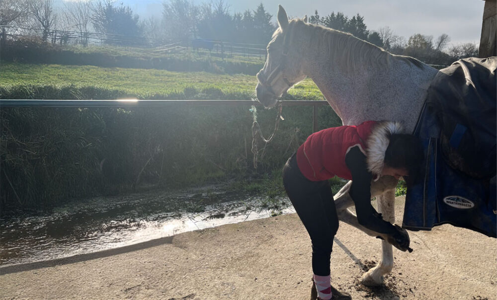 Quelles sont les différentes parties du filet ? - La Finette