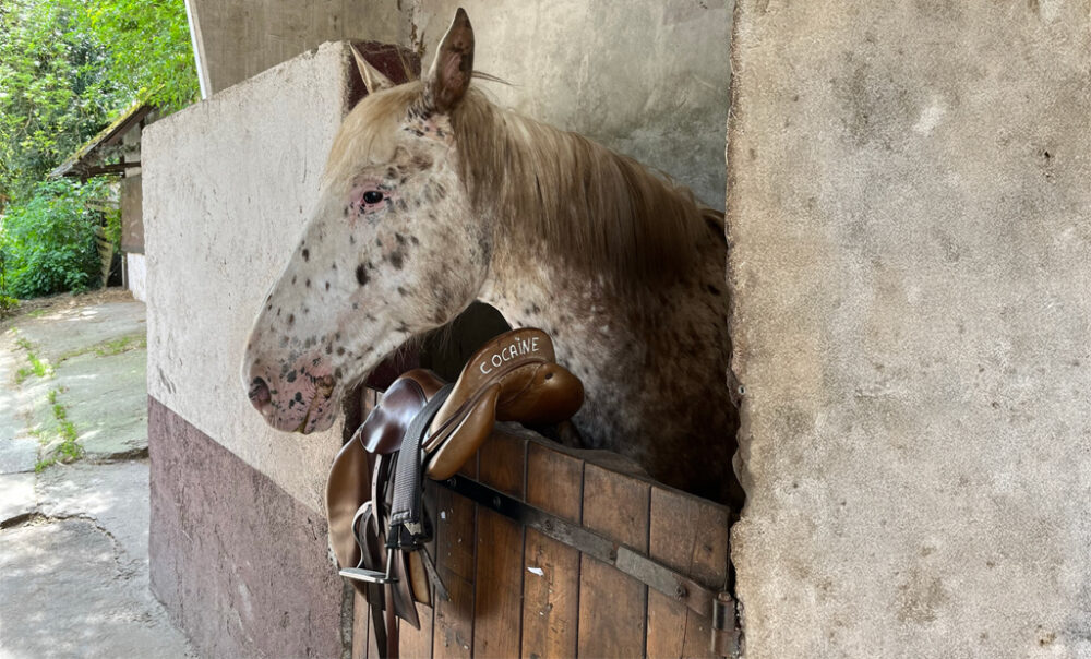 Quelles sont les différentes parties du filet ? - La Finette